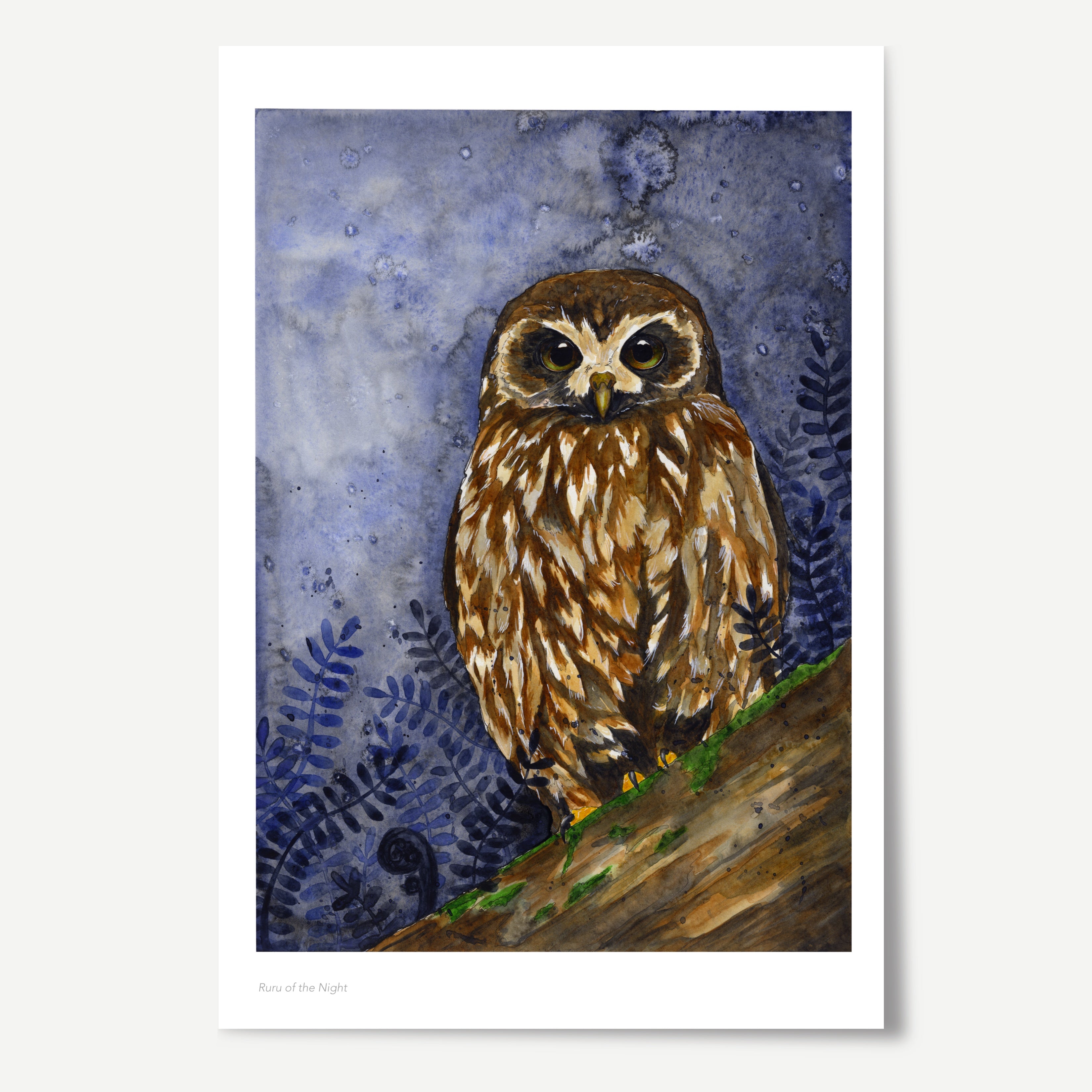 Ruru of the Night Print – Fantailed Illustrations