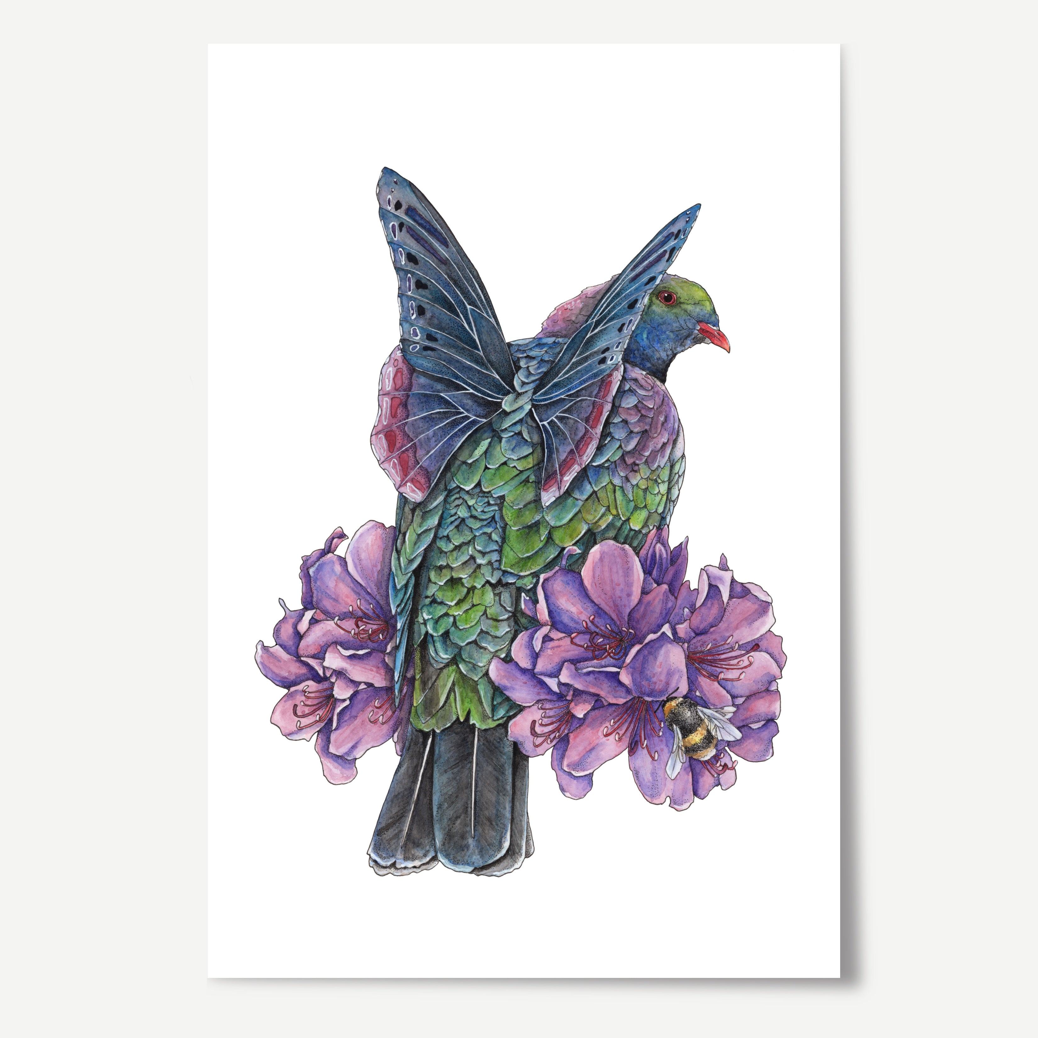 Kererū on Rhododendron Print – Fantailed Illustrations